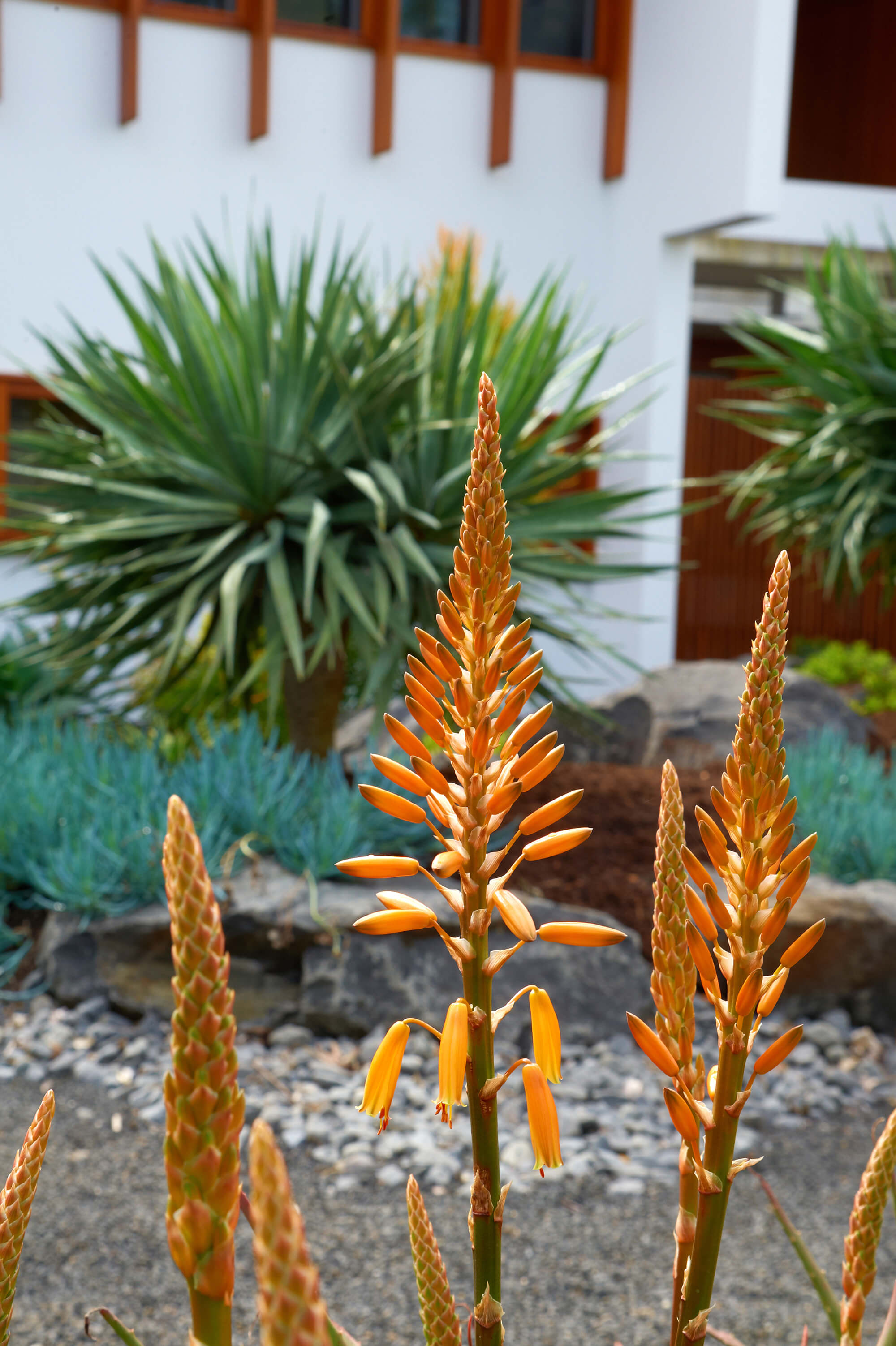 Home - Boss Gardenscapes